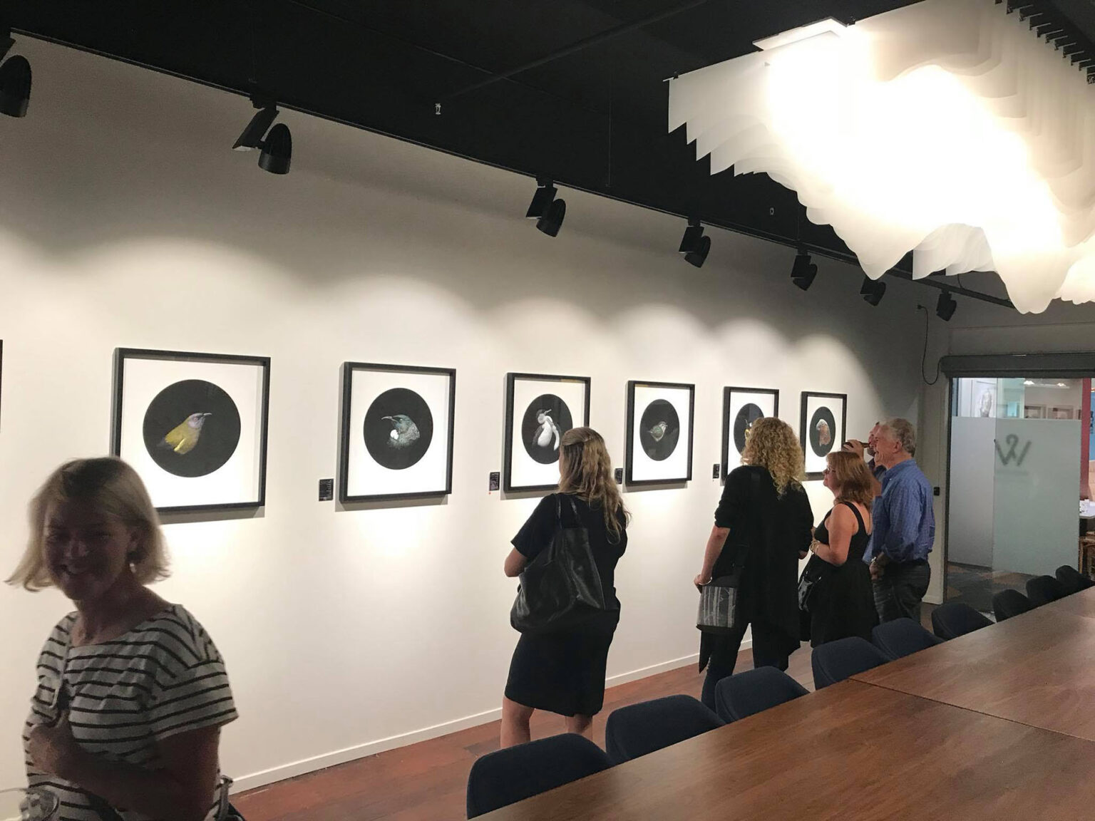 Exhibition Work – WildBirds.NZ