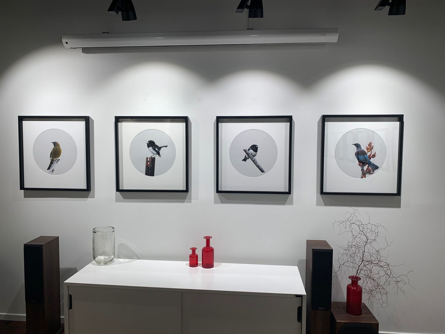 Exhibition Work – WildBirds.NZ